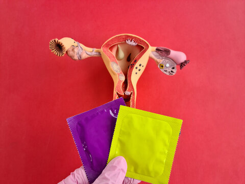 Femidom Images – Parcourir 290 le catalogue de photos, vecteurs et ...