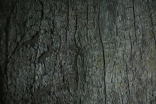 Verwitterung Images – Parcourir 6,008 le catalogue de photos, vecteurs et vidéos | Adobe Stock