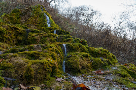 รูปภาพSalvatory – เลือกดูภาพถ่ายสต็อก เวกเตอร์ และวิดีโอ73 | Adobe Stock