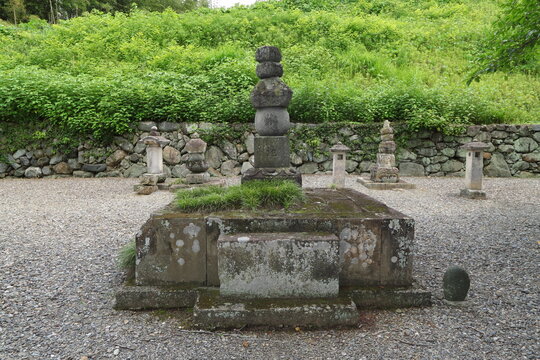 Catamite bilder – Bläddra bland 1,274 stockfoton, vektorer och videor ...