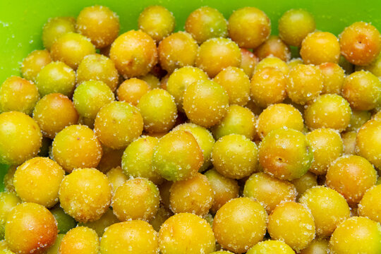 Umezuke Images – Browse 9 Stock Photos, Vectors, and Video | Adobe Stock