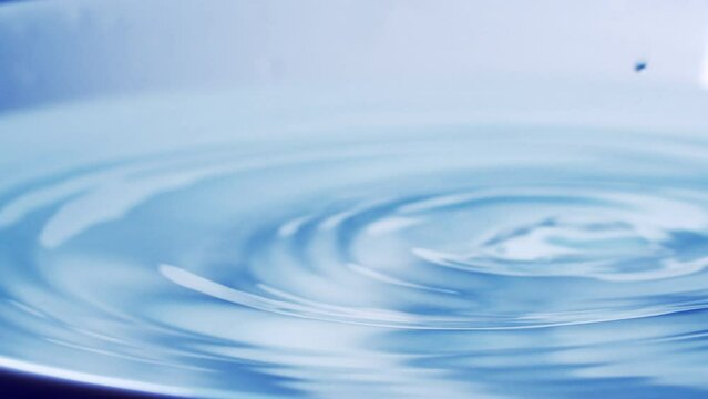 Smoot Images – Browse 1,157 Stock Photos, Vectors, and Video | Adobe Stock