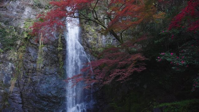 Minoh Bilder – Durchsuchen 751 Archivfotos, Vektorgrafiken und Videos ...