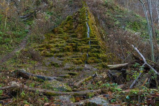 รูปภาพSalvatory – เลือกดูภาพถ่ายสต็อก เวกเตอร์ และวิดีโอ73 | Adobe Stock