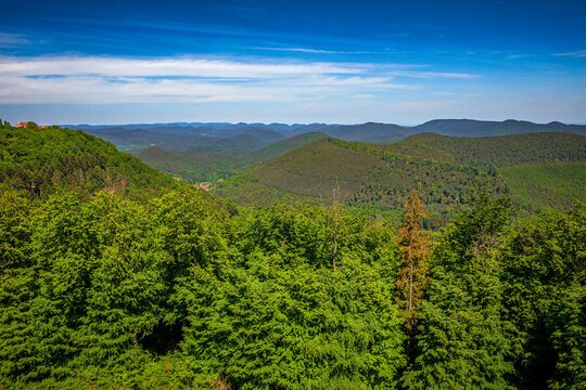 Gesen Bilder – Durchsuchen 125 Archivfotos, Vektorgrafiken und Videos ...
