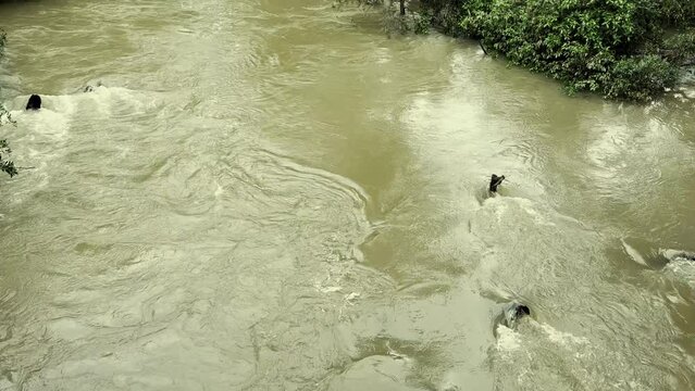 Upstream Downstream Images – Browse 1,315 Stock Photos, Vectors, and ...