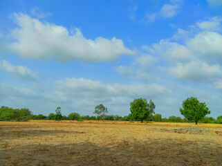 20+ Free HD Background Download | Free HD Downloads - Pikwizard