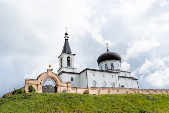 "Birsk Billeder – Gennemse 89 stockfotos, vektorer og videoer | Adobe Stock