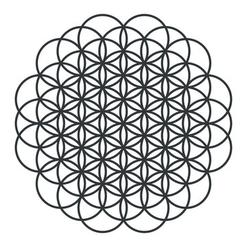 Sacred Geometry Fruit Of Life