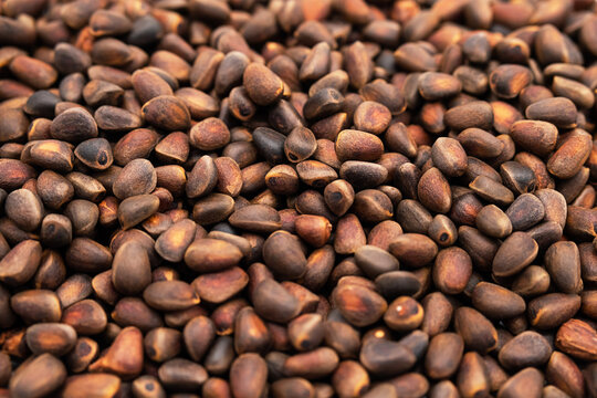 Nutlet bilder – Bläddra bland 2,693 stockfoton, vektorer och videor ...