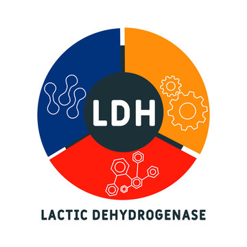 Ldh Images – Browse 156 Stock Photos, Vectors, and Video | Adobe Stock