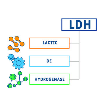 Ldh Images – Browse 156 Stock Photos, Vectors, and Video | Adobe Stock