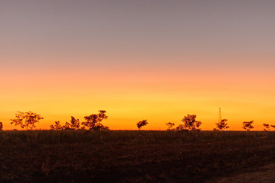 Imágenes de Cerado: descubre bancos de fotos, ilustraciones, vectores y ...