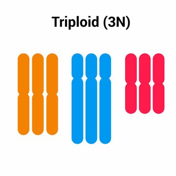 3N Images – Browse 34 Stock Photos, Vectors, and Video | Adobe Stock