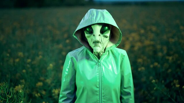 Halloween Movie Images – Browse 66,258 Stock Photos, Vectors, and Video ...