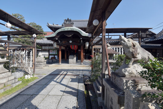 Catamite bilder – Bläddra bland 1,274 stockfoton, vektorer och videor ...