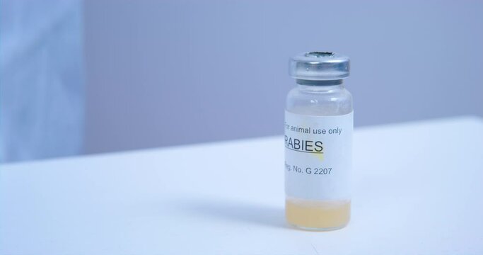 "Rabies Vaccine" Images – Browse 346 Stock Photos, Vectors, and Video ...