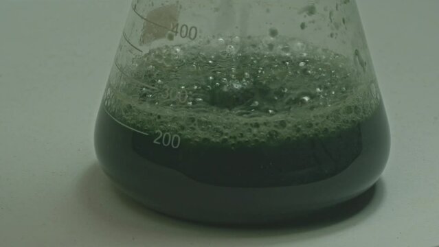 รูปภาพTrichoderma – เลือกดูภาพถ่ายสต็อก เวกเตอร์ และวิดีโอ127 | Adobe Stock