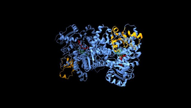 Dimer Images – Browse 853 Stock Photos, Vectors, and Video | Adobe Stock