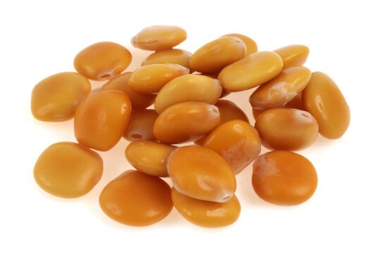 Imagens de Sabia – Explore Fotografias do Stock, Vetores e Vídeos de ...