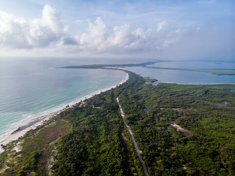 "Brackish Water" Images – Browse 4,788 Stock Photos, Vectors, and Video ...