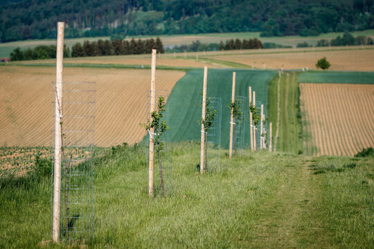 Windbreak Images – Browse 10,134 Stock Photos, Vectors, and Video ...