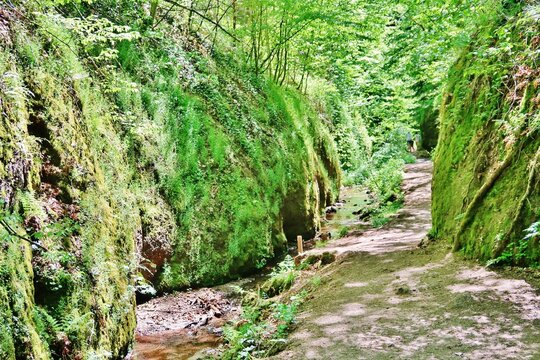 Engpass Images – Browse 667 Stock Photos, Vectors, and Video | Adobe Stock