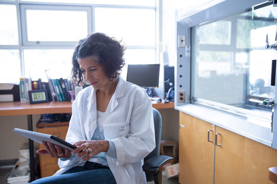 Laboer Bilder – Durchsuchen 2,242,714 Archivfotos, Vektorgrafiken und ...