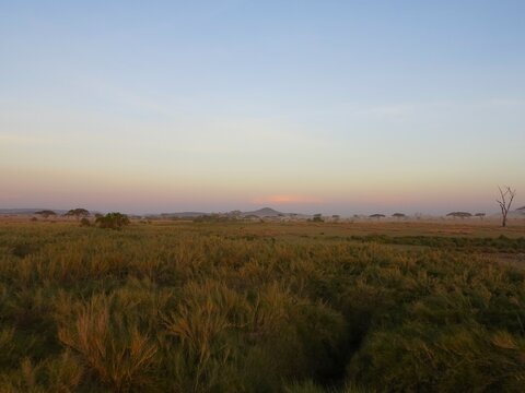 Sunrise In African Bush Images – Browse 9,103 Stock Photos, Vectors ...