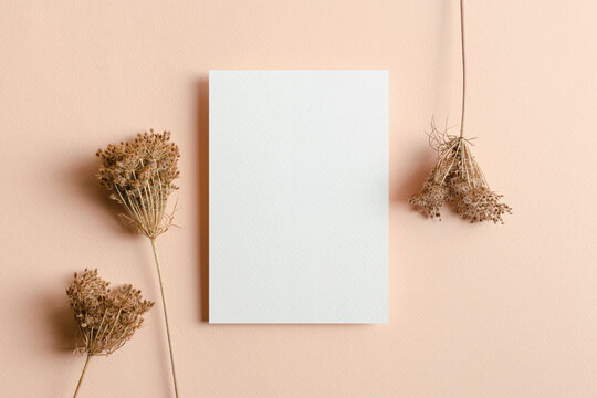 Khajur Images – Browse 2,129,814 Stock Photos, Vectors, and Video ...