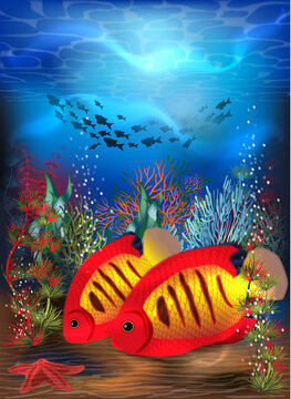 "Tiger Fish" Bilder – Durchsuchen 333 Archivfotos, Vektorgrafiken und ...