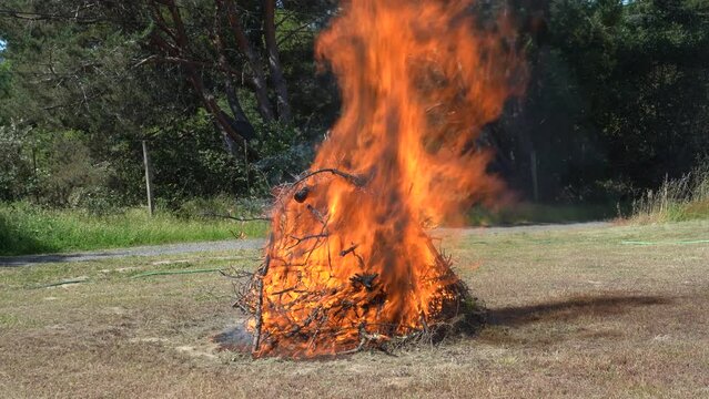 Slashing Video Footage – Browse 2,482 HD Stock Video and Footage ...