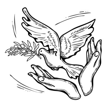 Descending Dove Outline