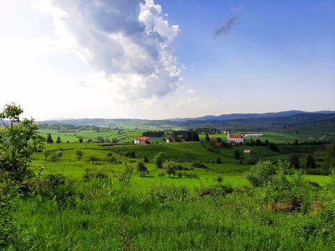 Nisici Images – Browse 18 Stock Photos, Vectors, and Video | Adobe Stock