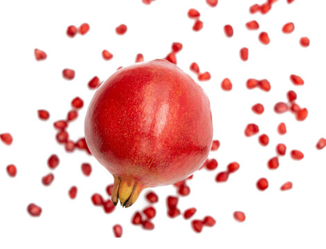 「Bedana」の写真素材 | 88件の無料イラスト画像 | Adobe Stock