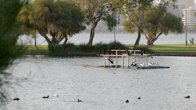 Cycling Perth Images – Browse 525 Stock Photos, Vectors, and Video ...