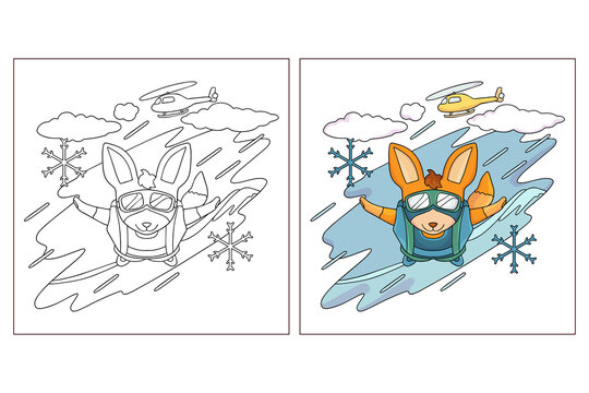 Skydriver Images – Browse 54 Stock Photos, Vectors, and Video | Adobe Stock