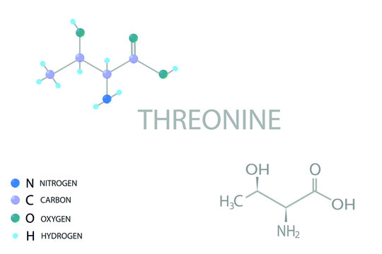 รูปภาพThreonin – เลือกดูภาพถ่ายสต็อก เวกเตอร์ และวิดีโอ2,811 | Adobe Stock