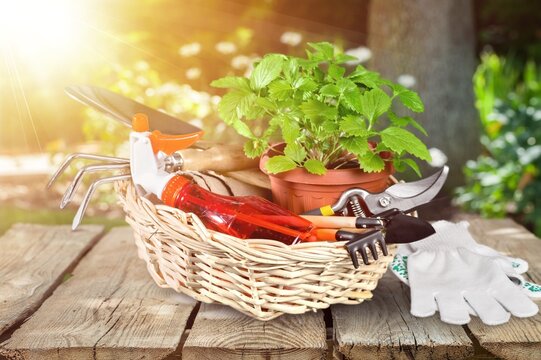 Rabatten bilder – Bläddra bland 450,991 stockfoton, vektorer och videor ...