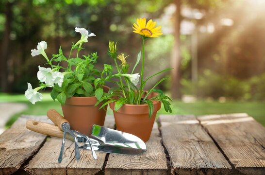 Rabatten bilder – Bläddra bland 450,991 stockfoton, vektorer och videor ...