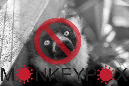 รูปภาพPoxvirus – เลือกดูภาพถ่ายสต็อก เวกเตอร์ และวิดีโอ4,150 | Adobe Stock