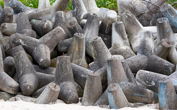 Tetrapods Bilder – Durchsuchen 16,358 Archivfotos, Vektorgrafiken und ...
