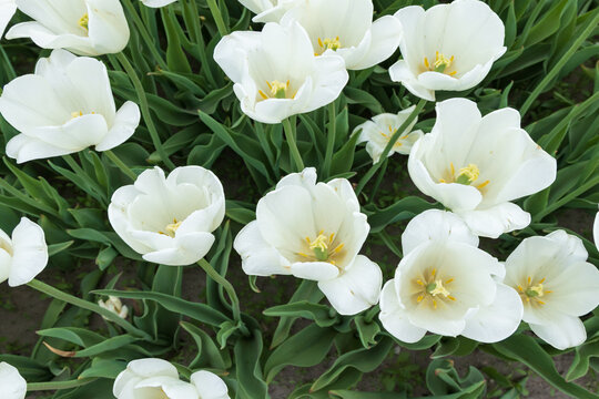 Rabatten bilder – Bläddra bland 450,991 stockfoton, vektorer och videor ...