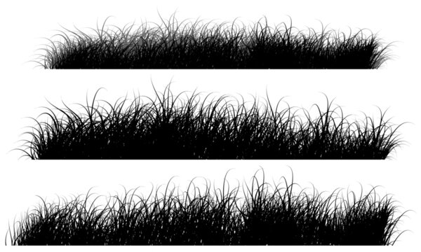 "Grass Foreground" Images – Browse 84 Stock Photos, Vectors, and Video ...