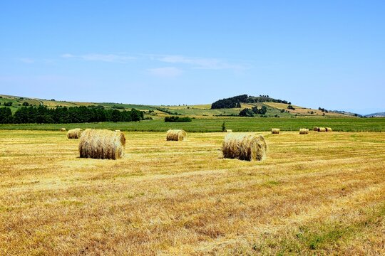 「Foin」の画像 - 7,811 件の Stock 写真、ベクターおよびビデオ | Adobe Stock