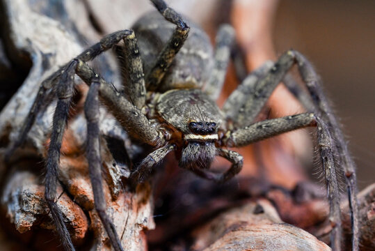 รูปภาพGaebul – เลือกดูภาพถ่ายสต็อก เวกเตอร์ และวิดีโอ1,220 | Adobe Stock
