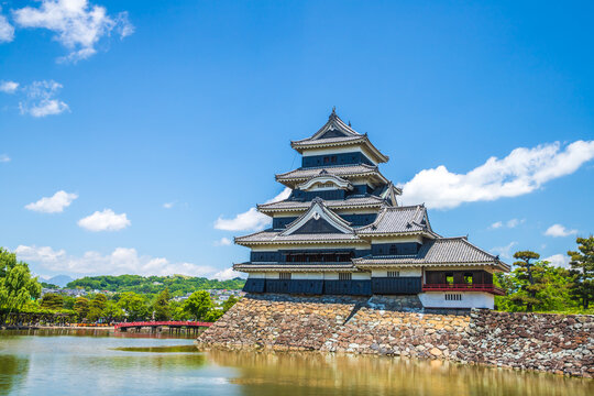 Ku bilder – Bläddra bland 28,384 stockfoton, vektorer och videor ...