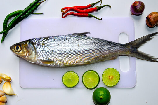 Philippine National Fish