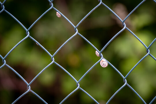 Quadrangel Bilder – Durchsuchen 3,676 Archivfotos, Vektorgrafiken und ...