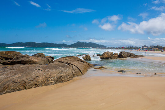 Imágenes de Mariscal: descubre bancos de fotos, ilustraciones, vectores ...